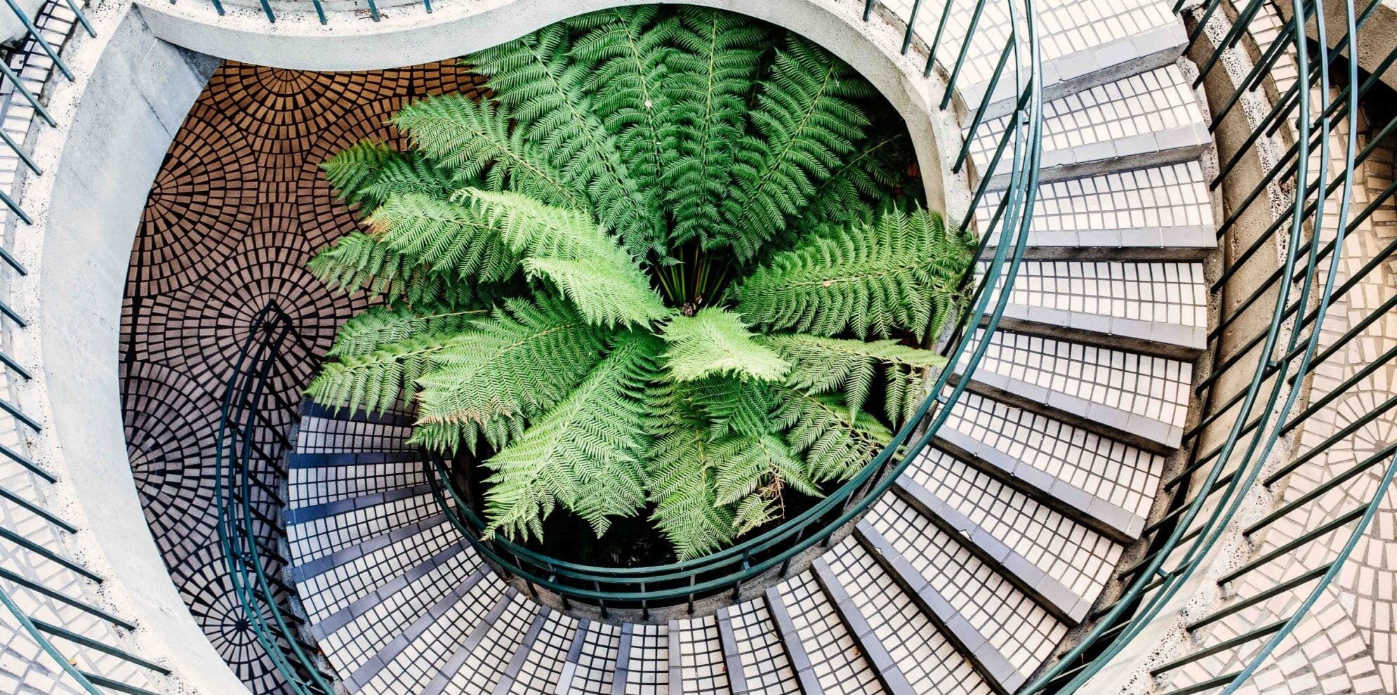 Cosmos Quartz | Premium Stone Collection | Cosmos Surfaces