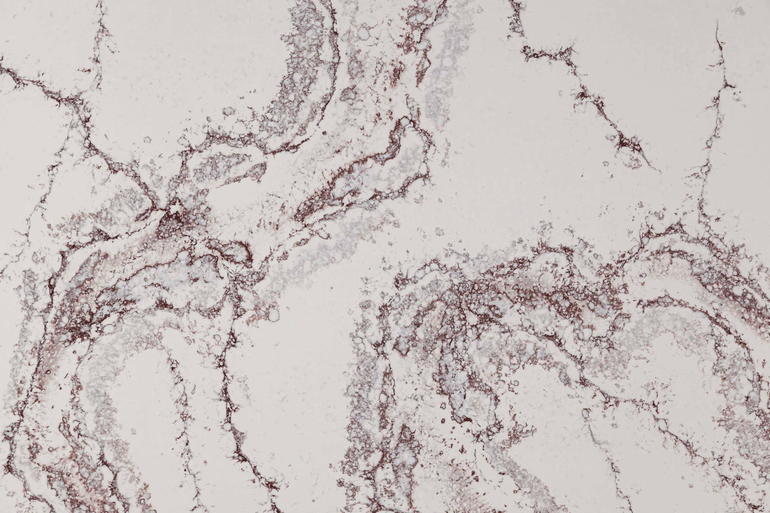 Cosmos Quartz | Premium Stone Collection | Cosmos Surfaces